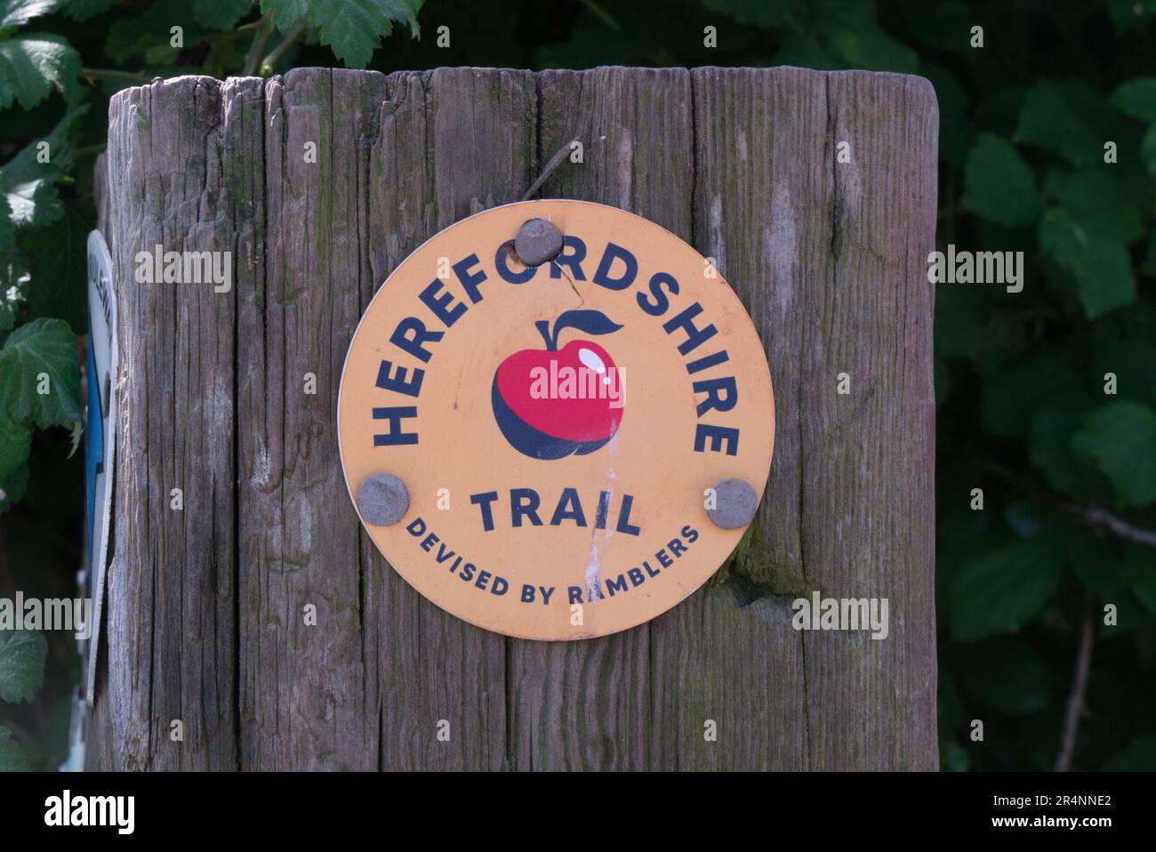 Way marker disc on the Herefordshire Trail a long distance walking ...