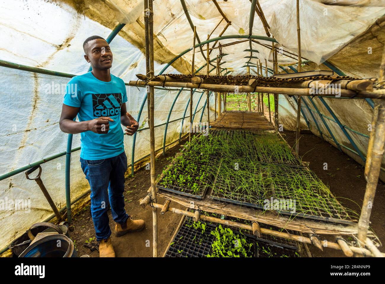 Greenhouse vegetable garden of the Kumbali Country Lodge in Lilongwe ...