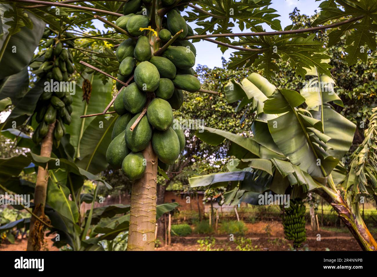 Kumbali hi-res stock photography and images - Alamy