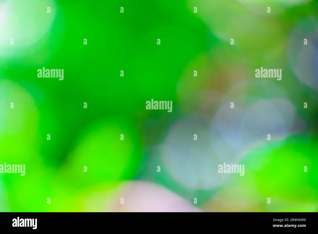 Beautiful blurred background image of spring nature,blur natural and ...