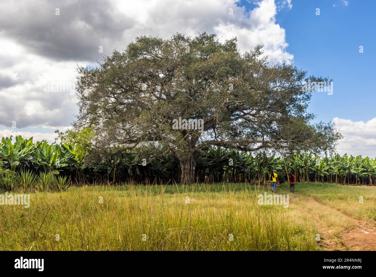 Kumbali hi-res stock photography and images - Alamy