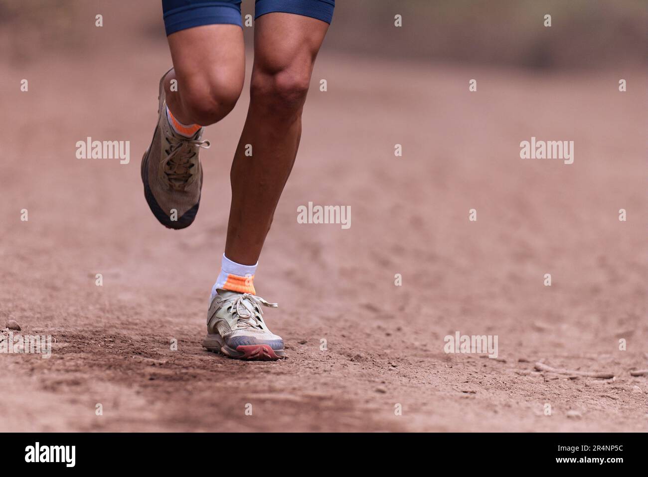 Trail runner running in summer mountain nature landscape on difficult ...