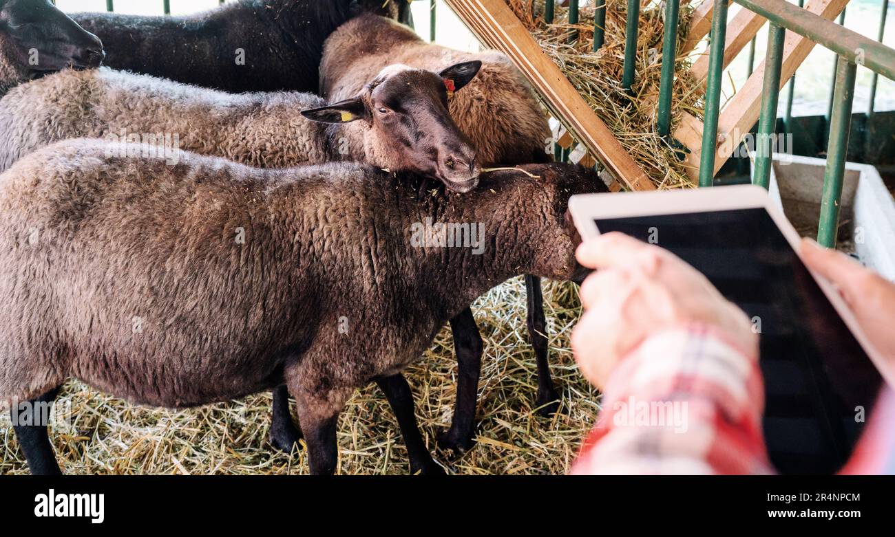 Data collect hi-res stock photography and images - Alamy