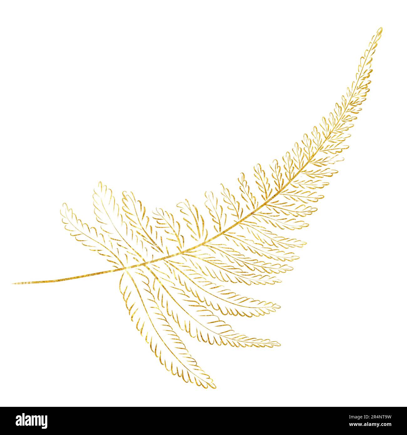 Golden fern leaf. Tropical forest botany. exotic plants. Ideal for wedding design, cards ...