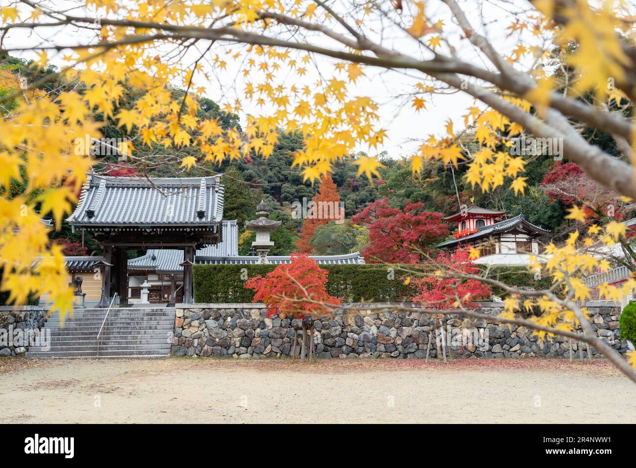 Minoh Park Ryuanji Temple with autumn maple in Osaka, Japan Stock Photo ...