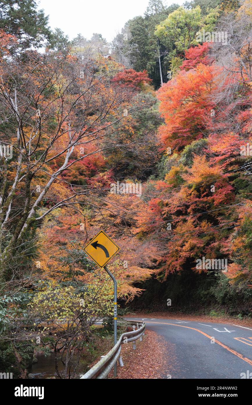 Minoh Park autumn colorful forest mountain road in Osaka, Japan Stock ...