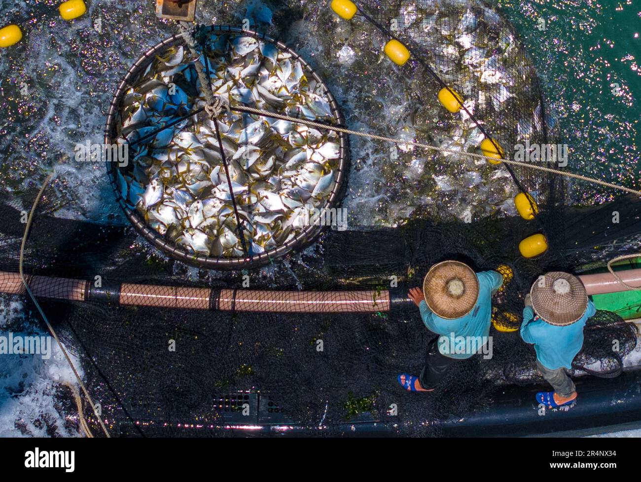 (230529) -- ZHANJIANG, May 29, 2023 (Xinhua) -- This aerial photo taken ...