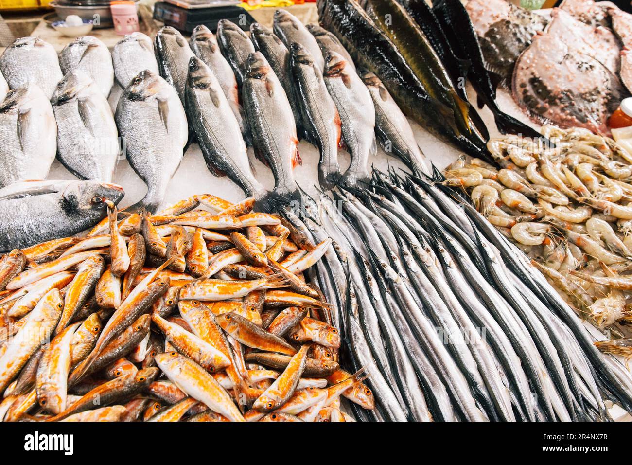 Fresh garfish Fish - Belone belone - On Display On Ice On Fishermen ...