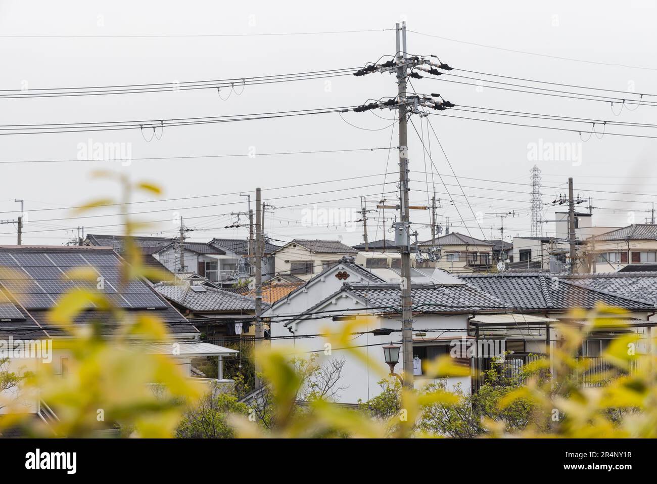 cityscape with view over the houses with overhead power lines in a ...