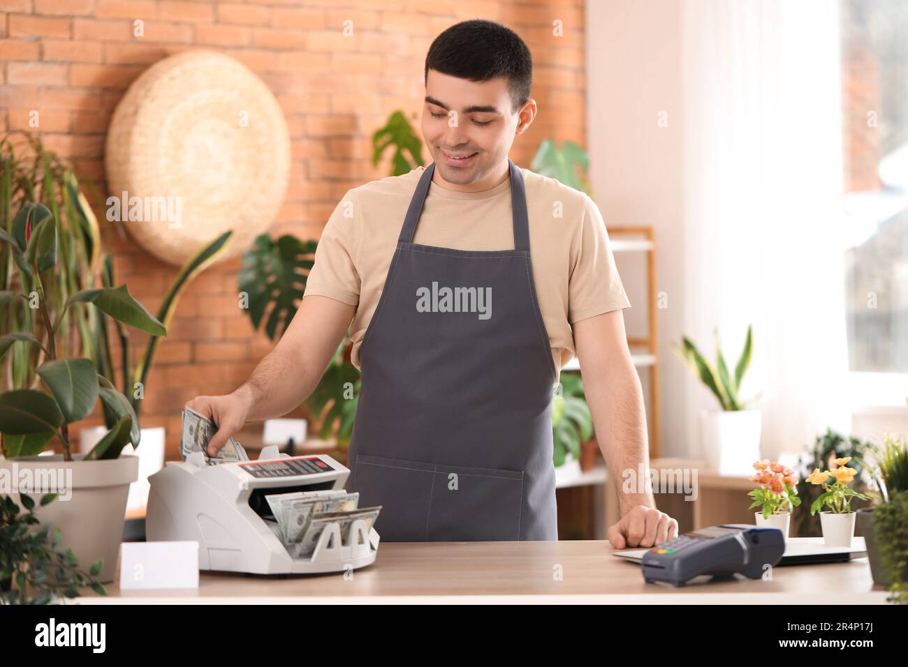 Male cashier using cash counting machine in flower shop Stock Photo - Alamy