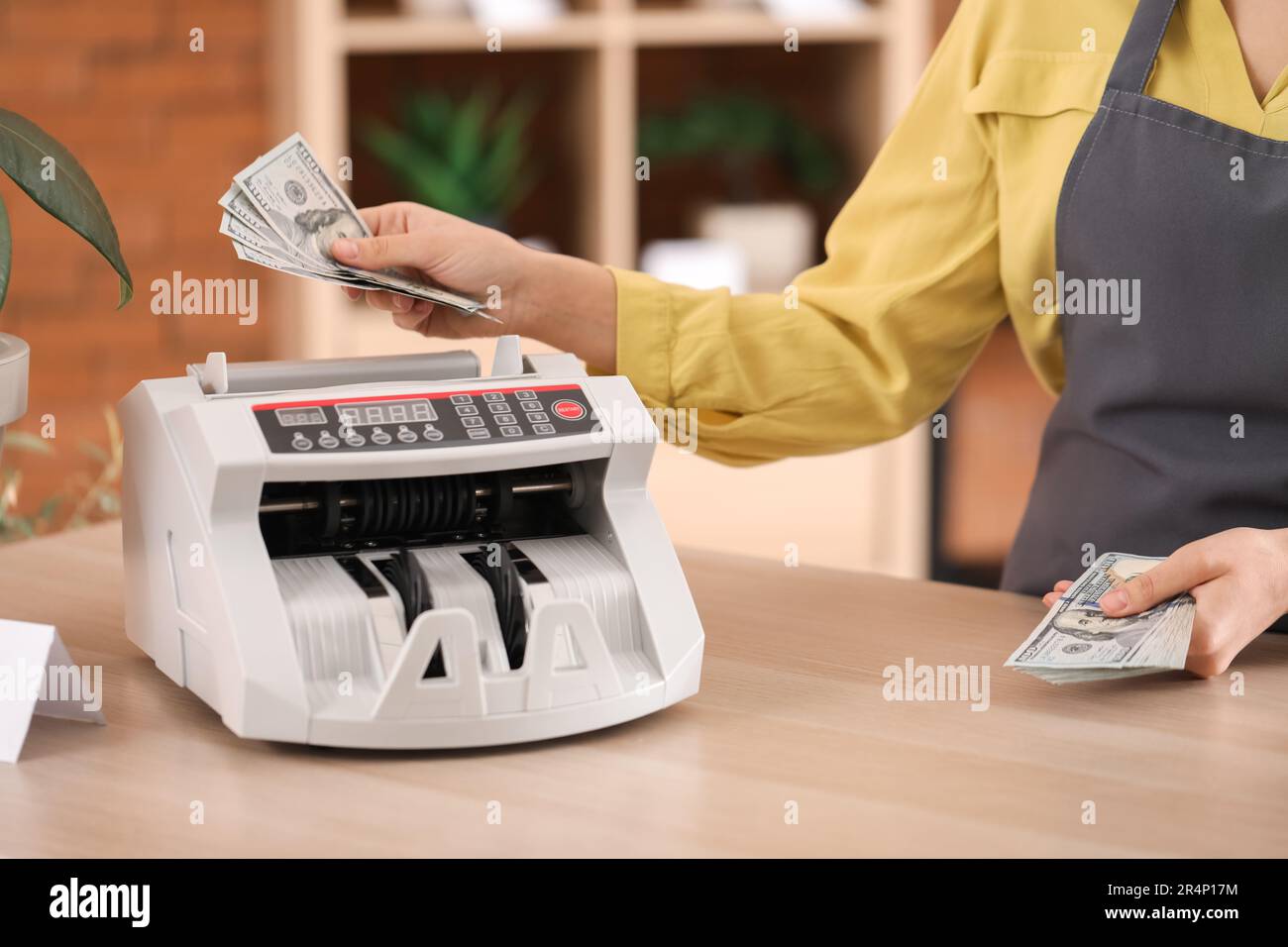 Female cashier using cash counting machine in flower shop, closeup ...