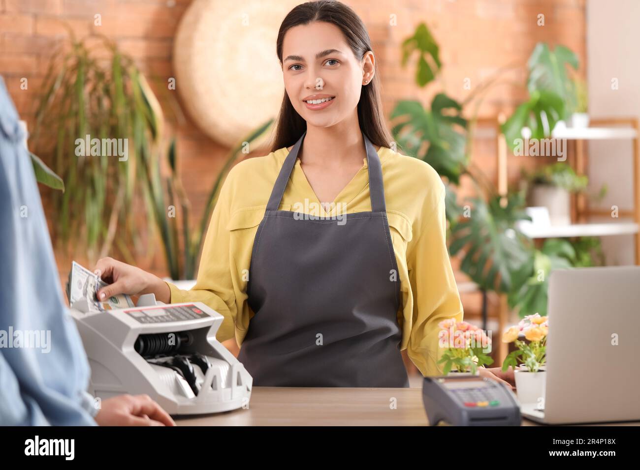 Female cashier counting money。 hi-res stock photography and images - Alamy