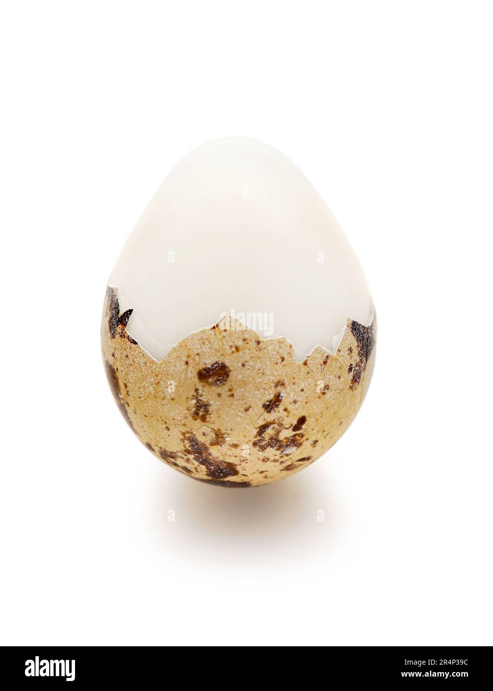 Boiled quail egg with shell on white background Stock Photo - Alamy