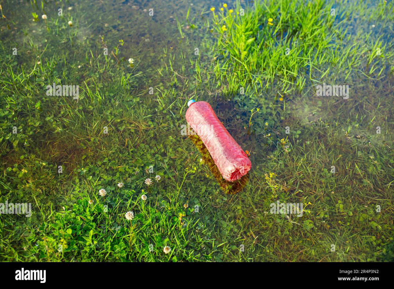 plastic bottle pet in the water. nature pollution concept Stock Photo ...