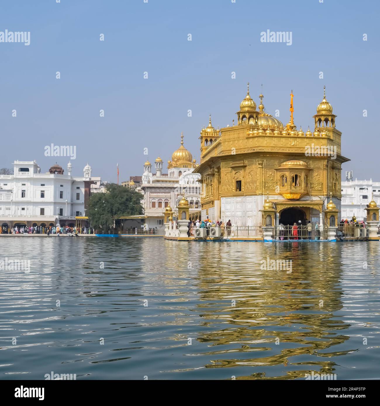 Beautiful view of Golden Temple (Harmandir Sahib) in Amritsar, Punjab ...