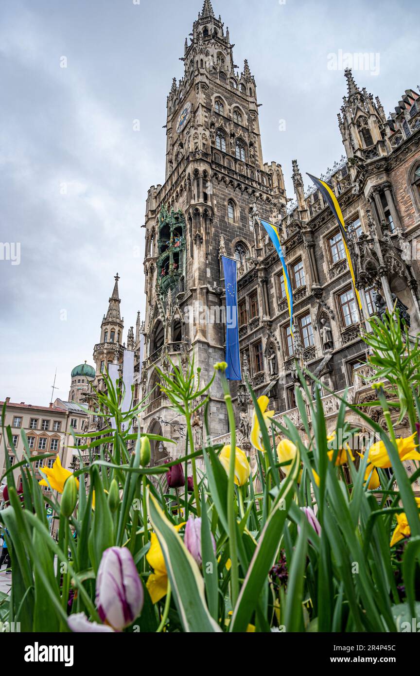 Spire new town hall hi-res stock photography and images - Alamy
