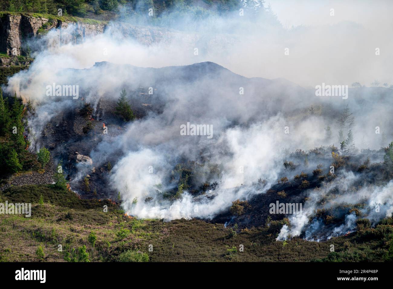 Gelli, Wales, 29 May, 2023: Fire fighters tackle a blaze above Gelli ...
