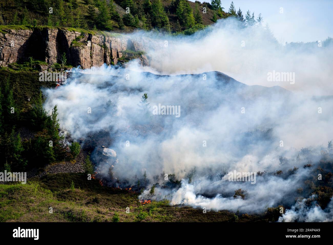 Gelli, Wales, 29 May, 2023: Fire fighters tackle a blaze above Gelli ...