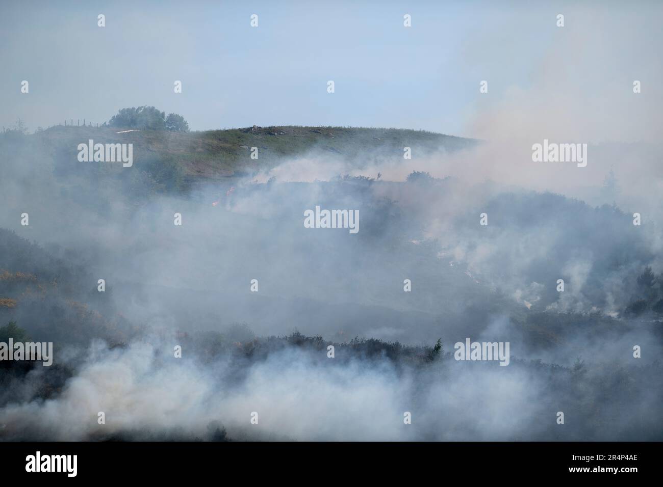 Gelli, Wales, 29 May, 2023: Fire fighters tackle a blaze above Gelli ...