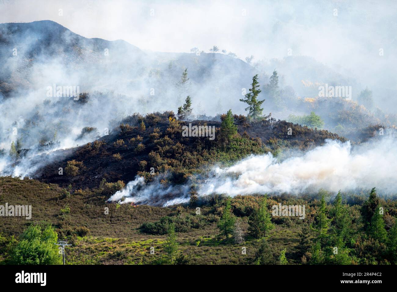 Gelli, Wales, 29 May, 2023: Fire fighters tackle a blaze above Gelli ...