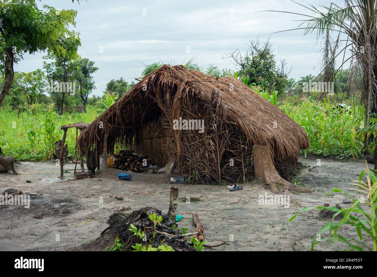 A grass and wood hut in an IDP refugee camp DR Congo Stock Photo - Alamy