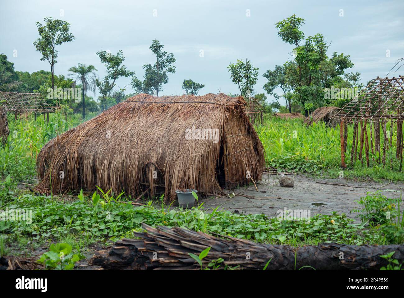 A grass and wood hut in an IDP refugee camp DR Congo Stock Photo - Alamy