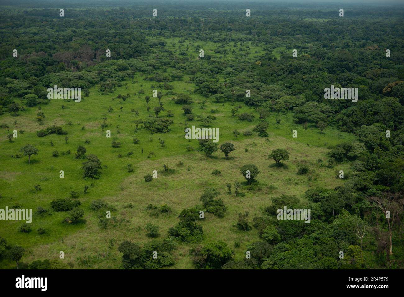 The Congolese countryside, photographed from a UN helicopter, near ...