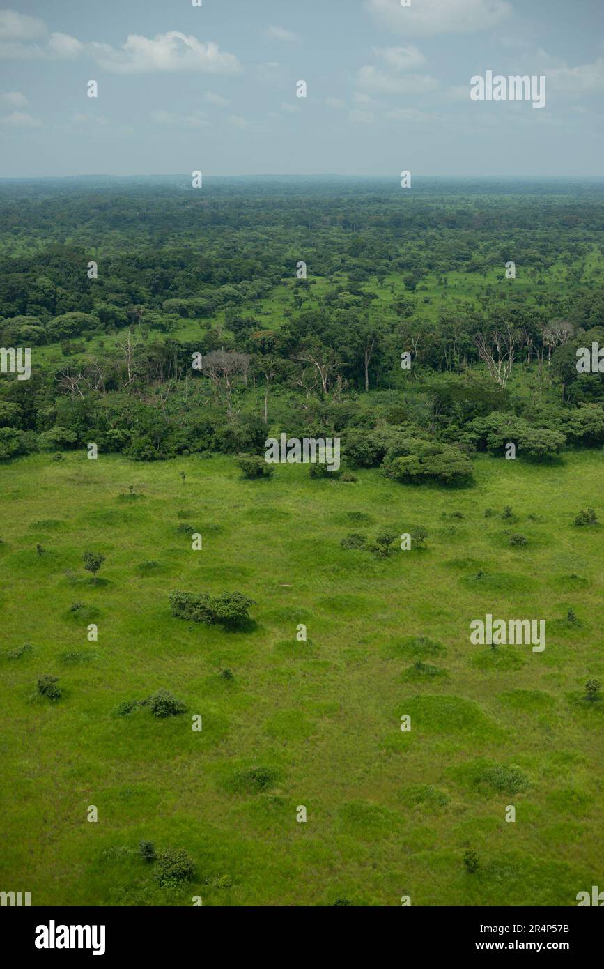 The Congolese countryside, photographed from a UN helicopter, near ...