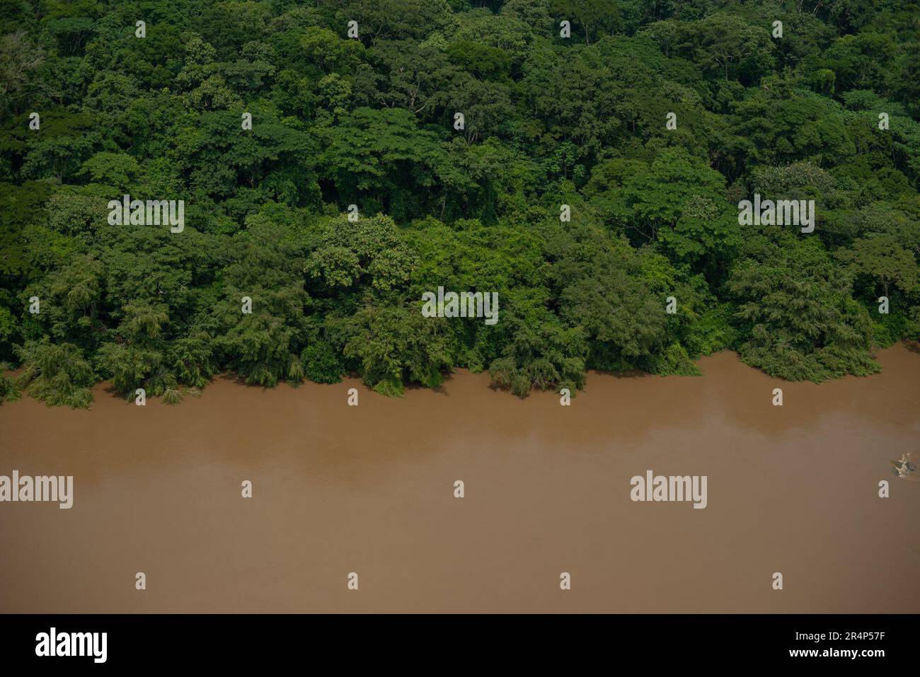 The banks of the Uele River photographed from the air, near DUNGU DR ...