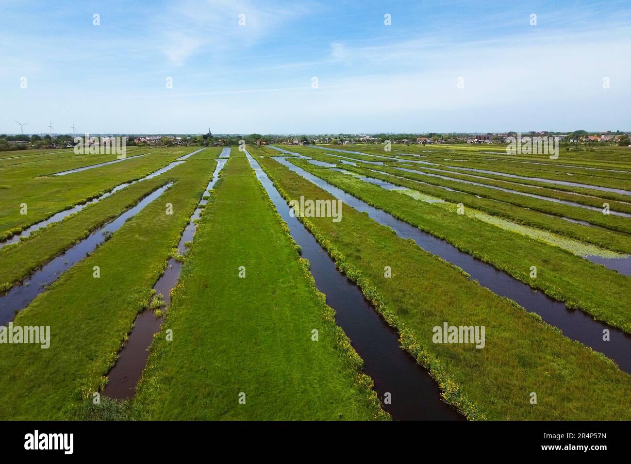 Stunning aerial view of the wide open Dutch polder landscape with parallel water filled ditches ...