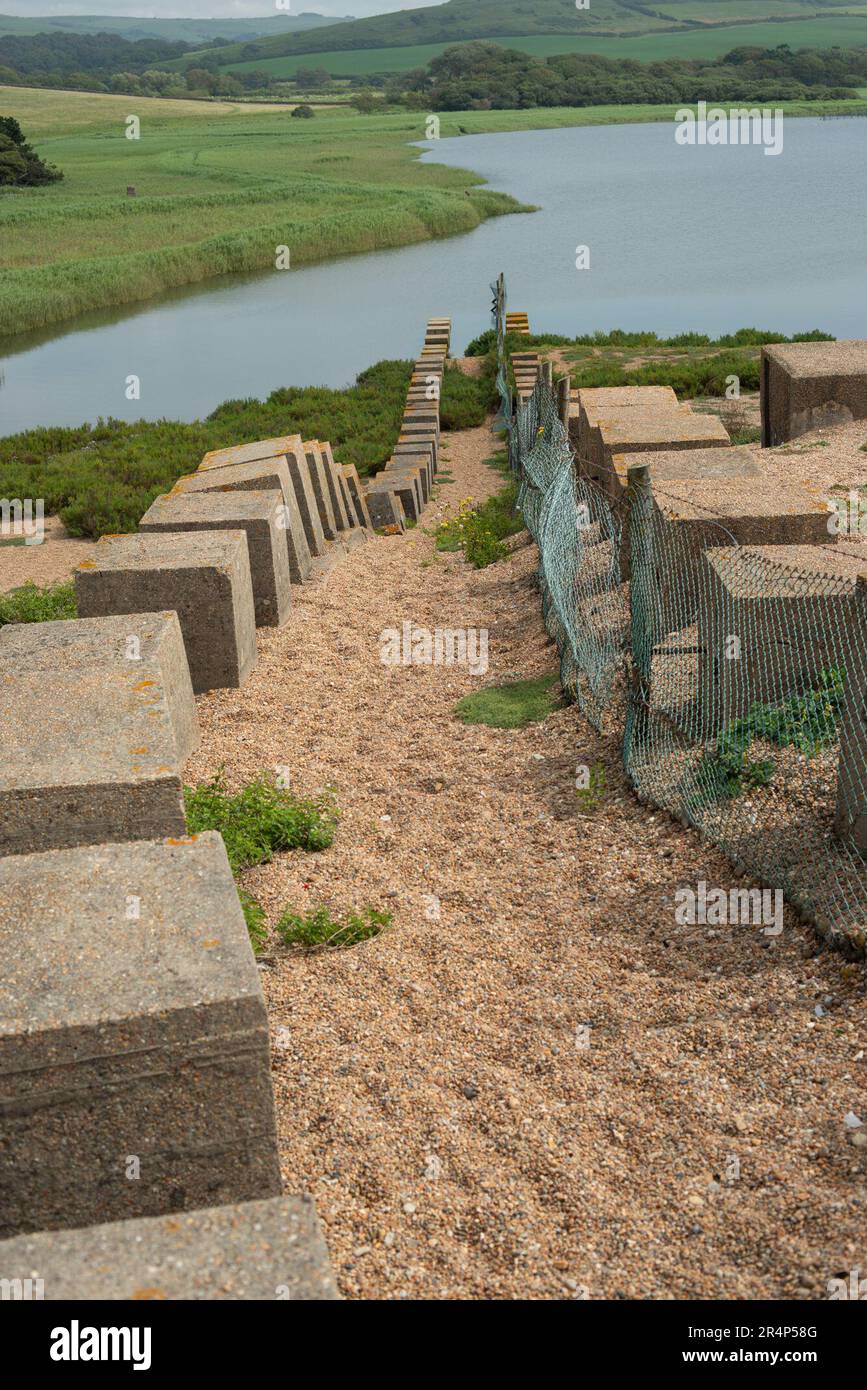 "Dragons Teeth" ant-tank defences on Chisel Beach near Abbotsbury ...