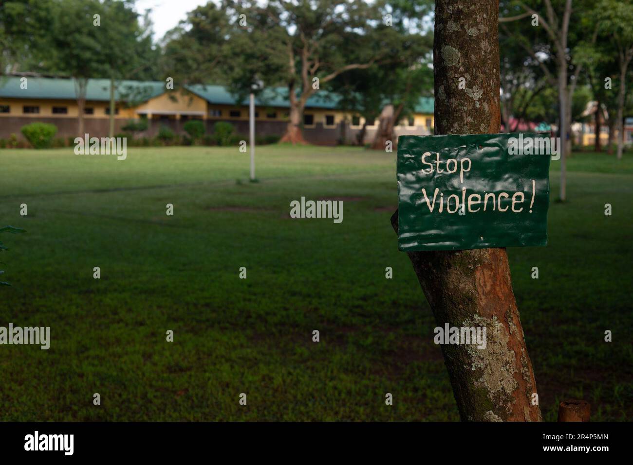 Stop Violence, a sign nailed to a tree in the grounds of St. Marys ...