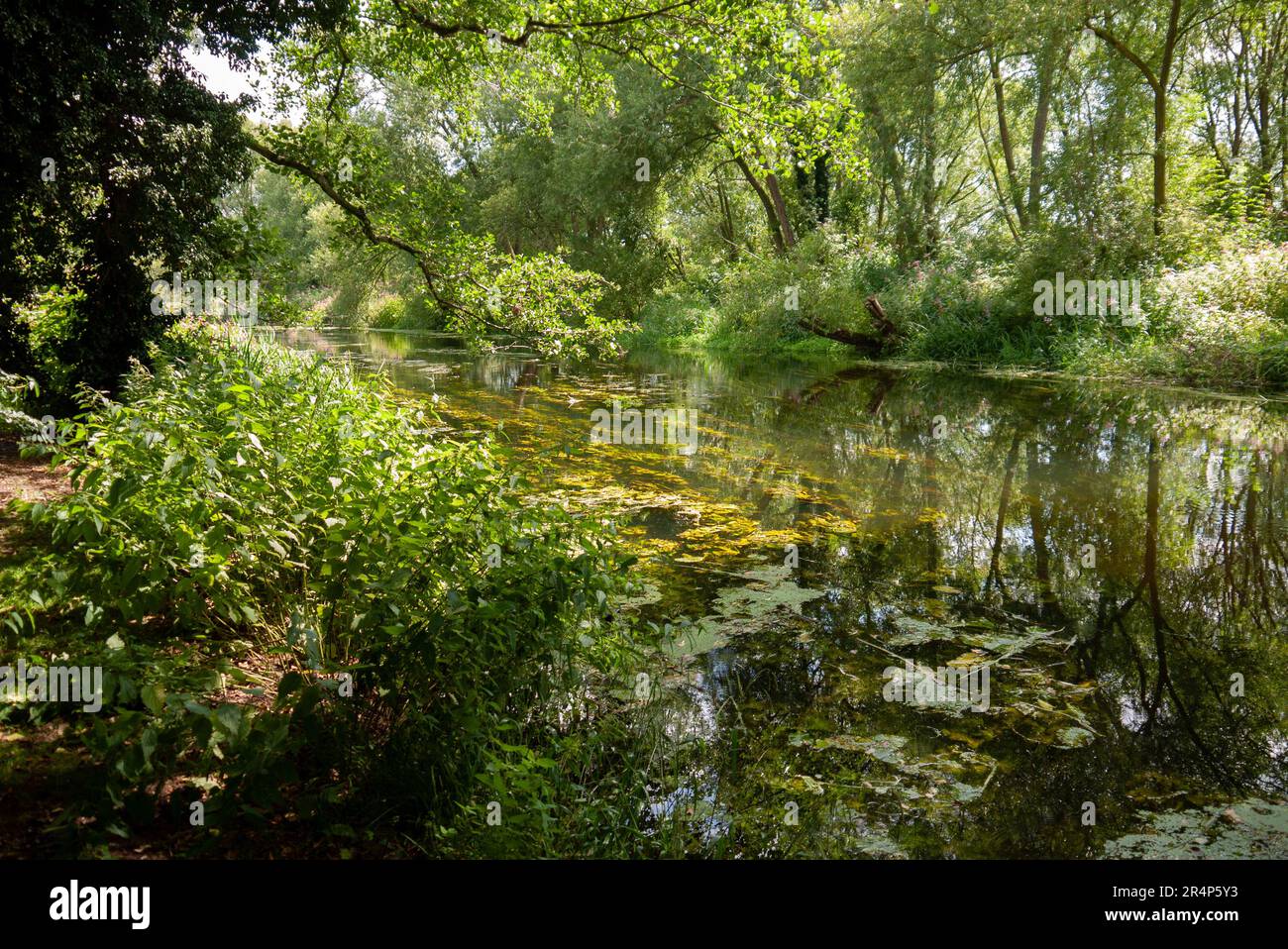 The River Kennet, Wiltshire, England Stock Photo - Alamy