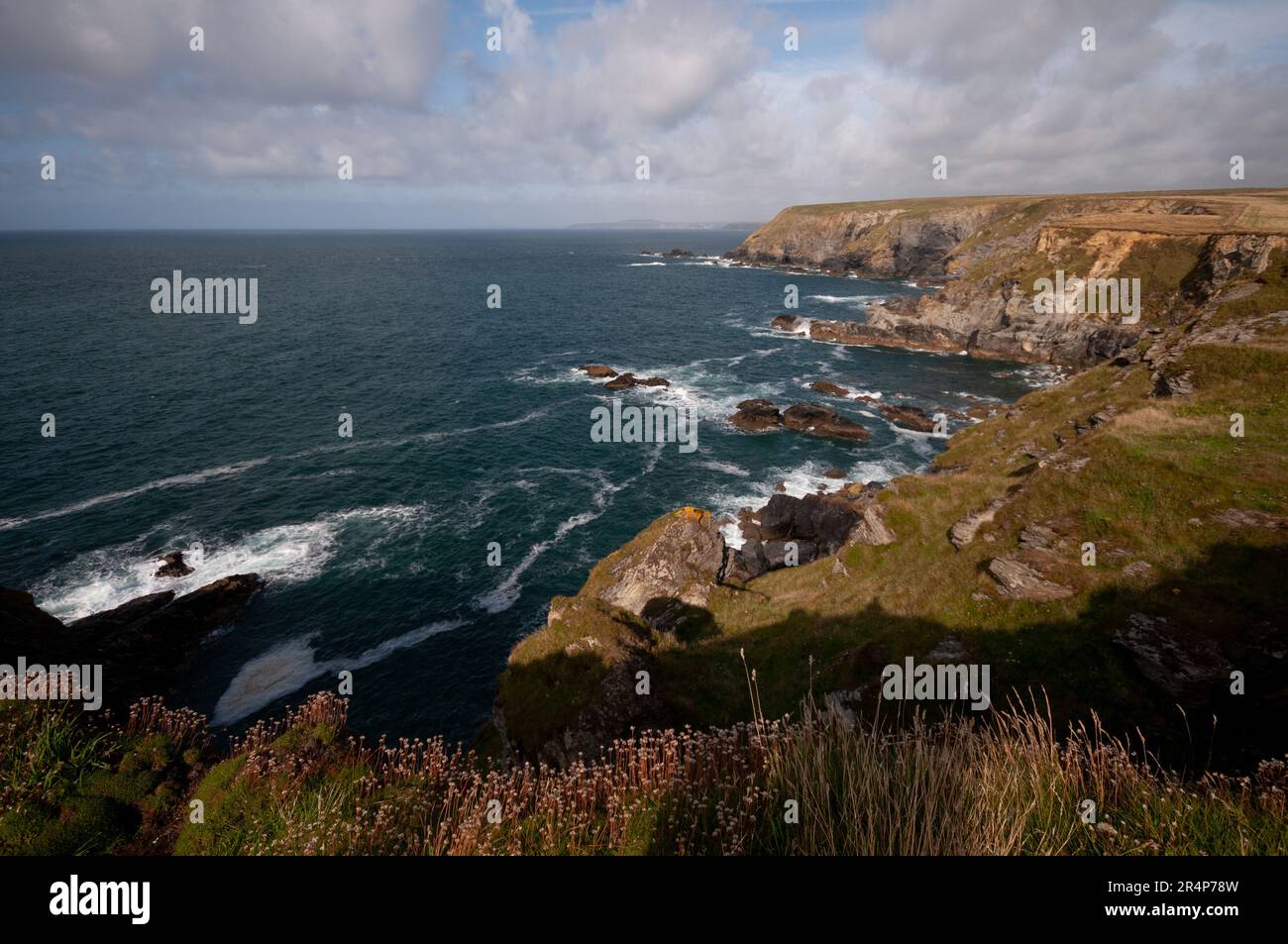 View from Godrevy Looking over Mutton Cove and East towards Naval point ...