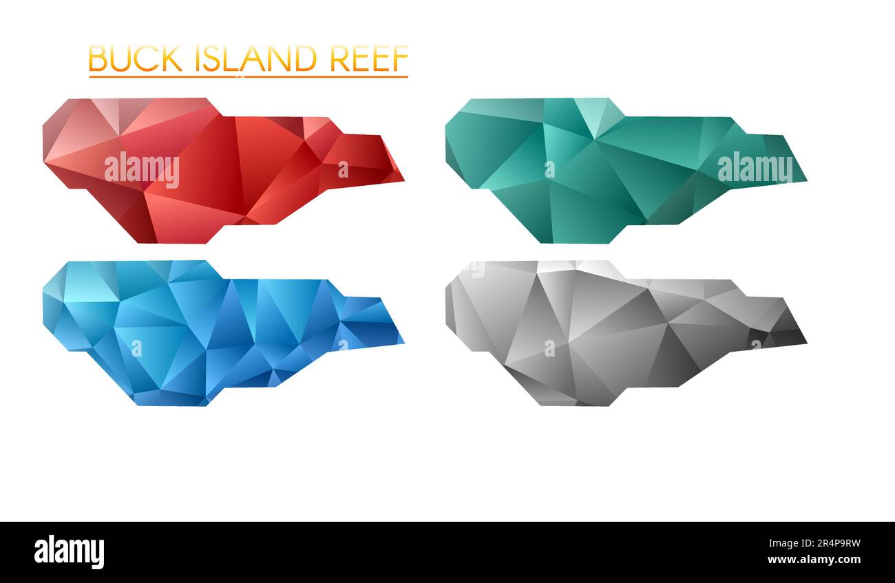 Set of vector polygonal maps of Buck Island Reef. Bright gradient ...
