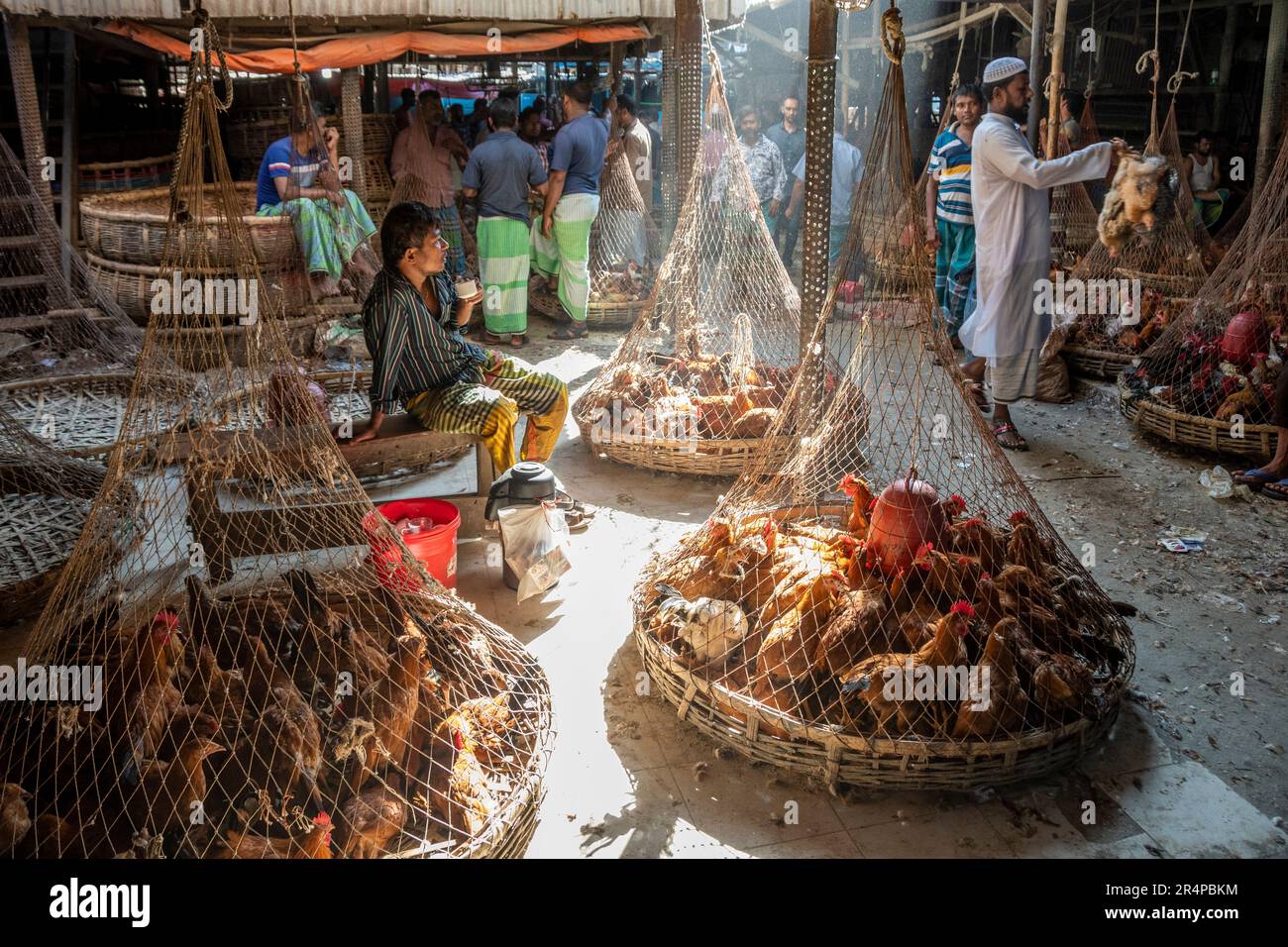 Live chickens for sale in a market in Old town Dhaka, Bangladesh Stock ...