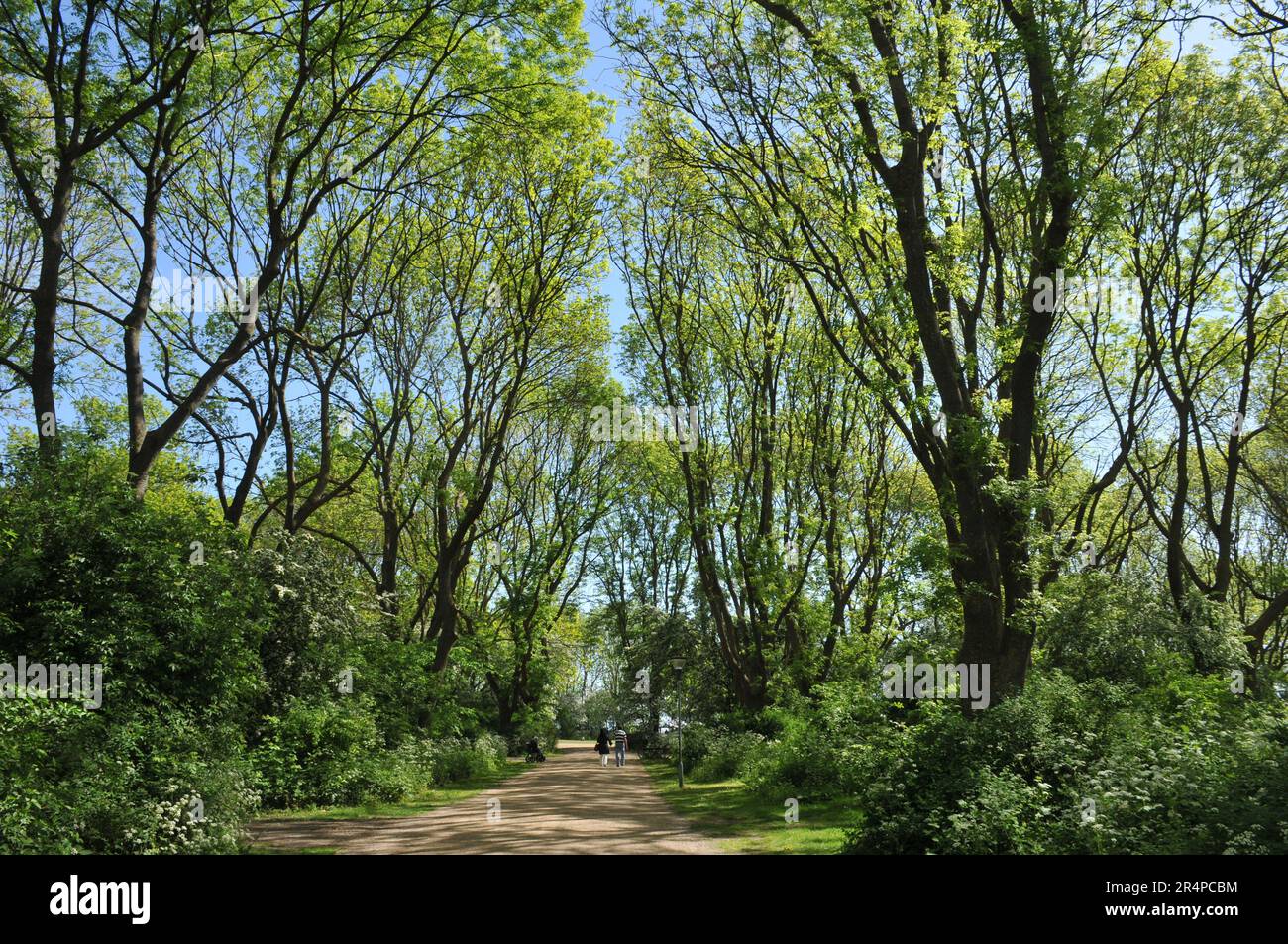 29 May 2023/Beach visitor enjoy summer day at Amamger strand park beach ...