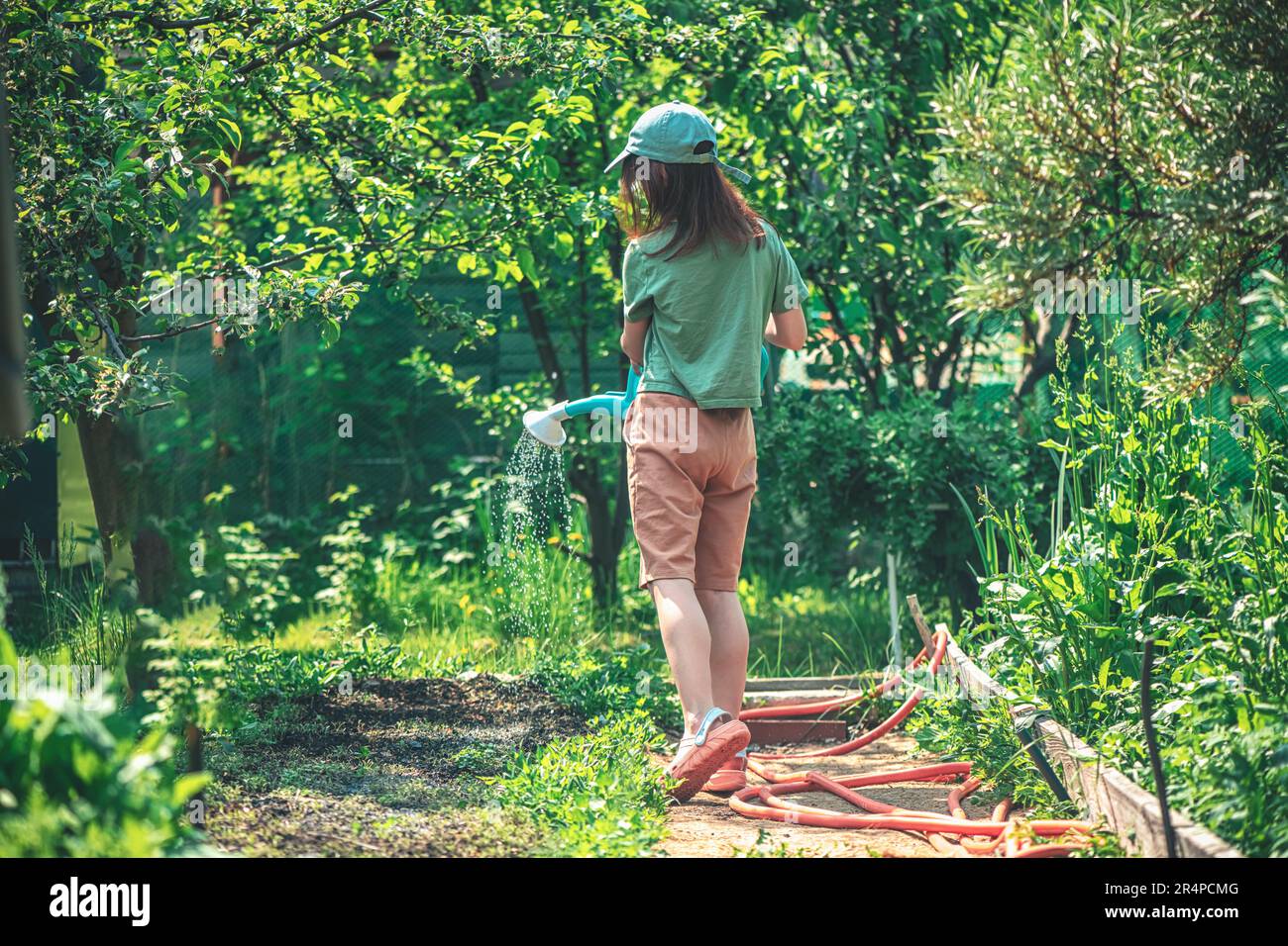 Little girl watering blooming tree with watering pot in the garden. Kid ...