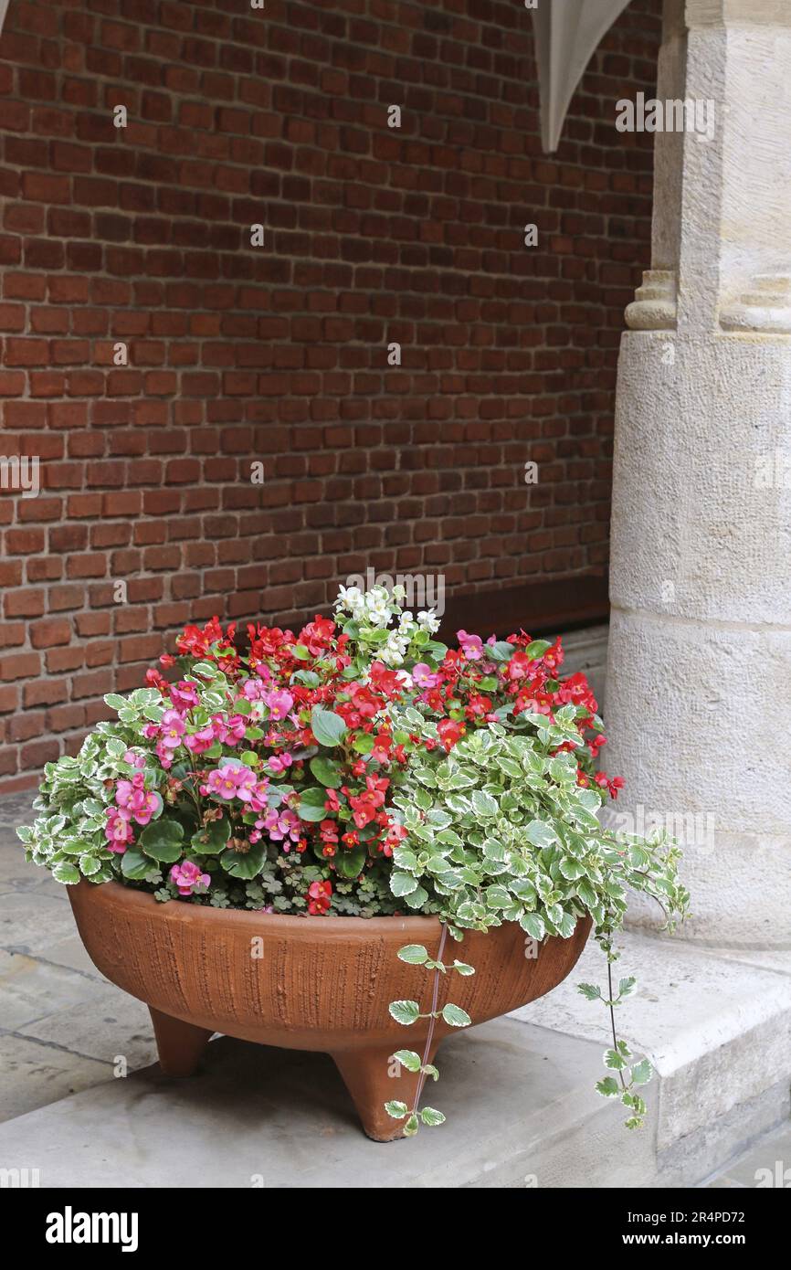 A large stone pot with flowers set in front of a historic brick ...