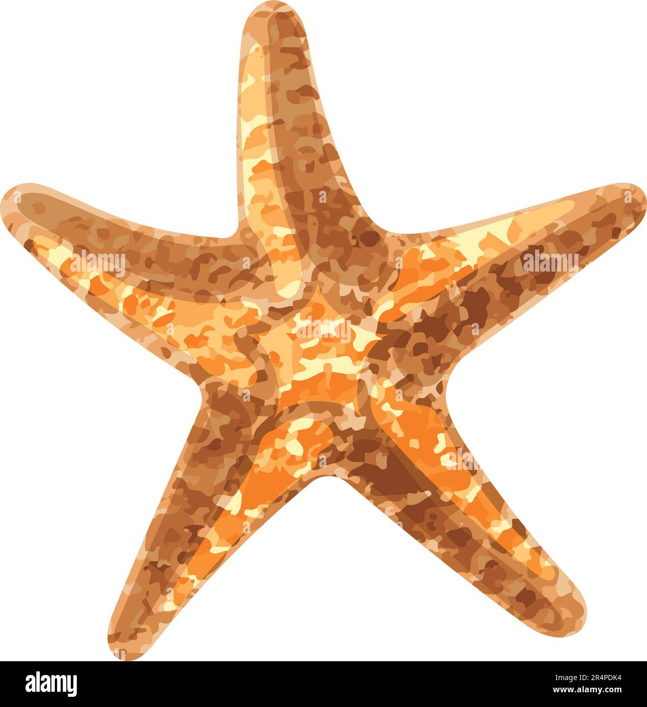 Isolated colored sea star sketch icon Vector Stock Vector Image & Art ...