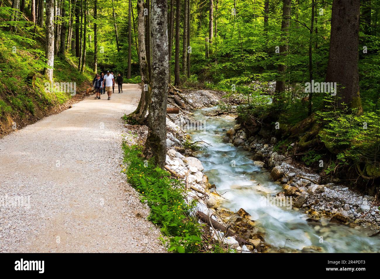 View of a family hiking next to white water cascading down the scenic ...