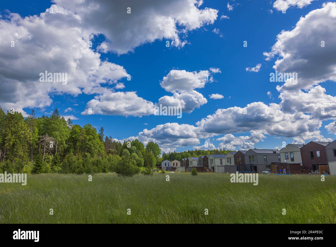 Gorgeous nature landscape backgrounds. Green grass field and trees ...