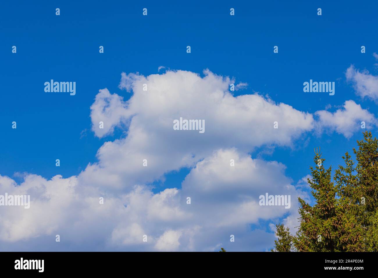 Beautiful nature backgrounds. Puffy white clouds on blue sky background ...