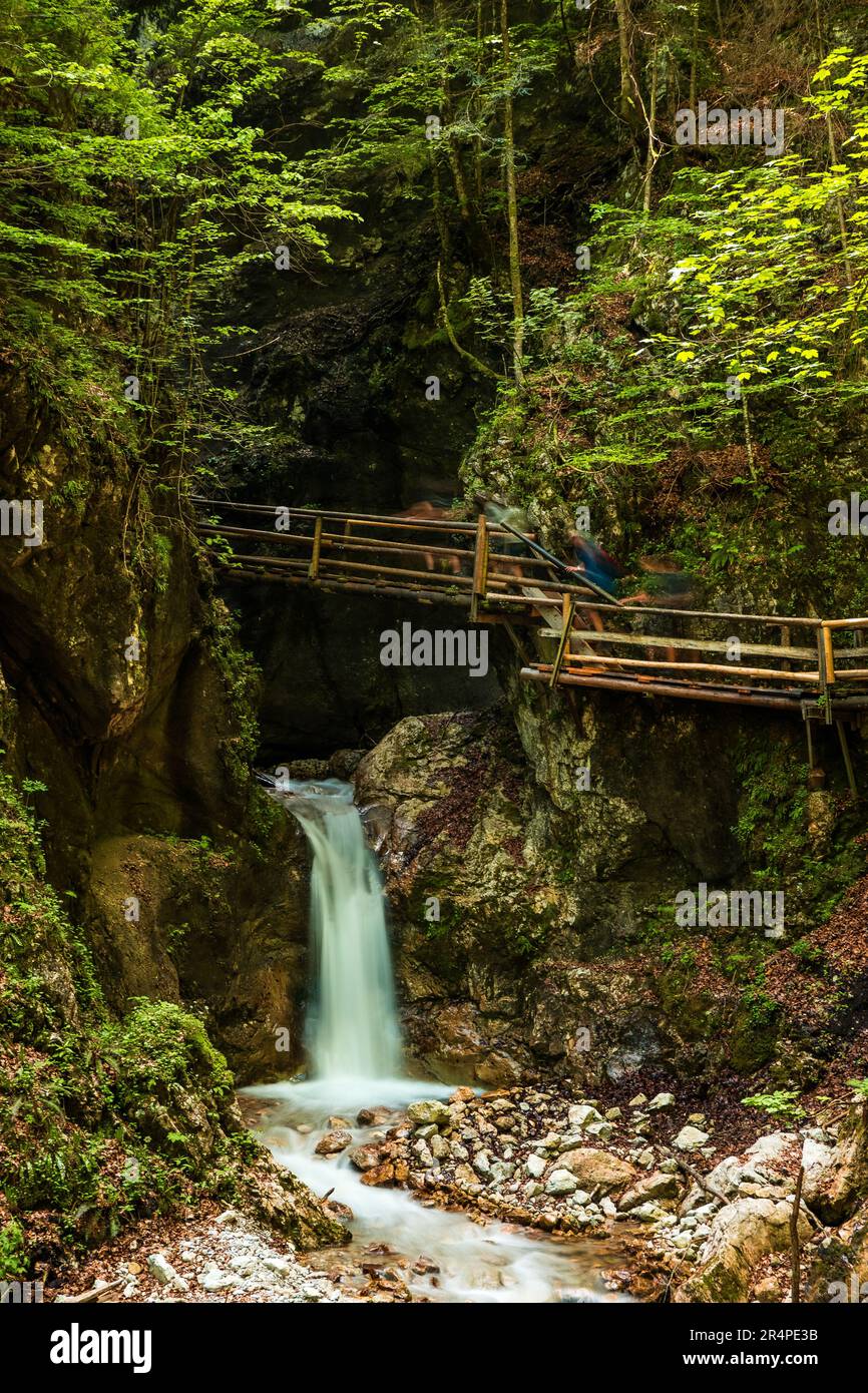 View of hikers climbing steps next to white water cascading down the ...
