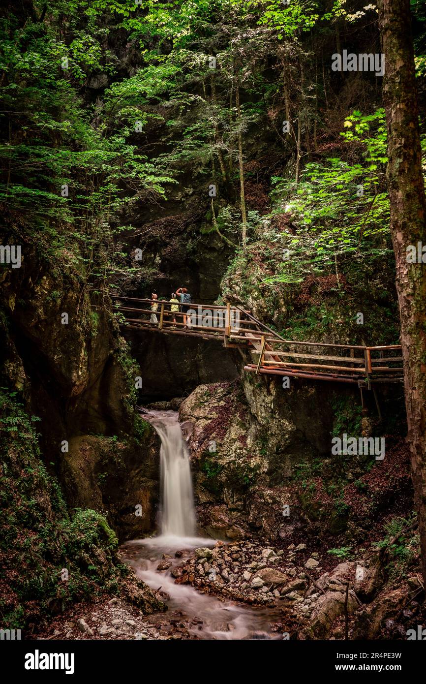 View of family exploring the scenic Dr. Vogelgesang-Klamm gorge in ...