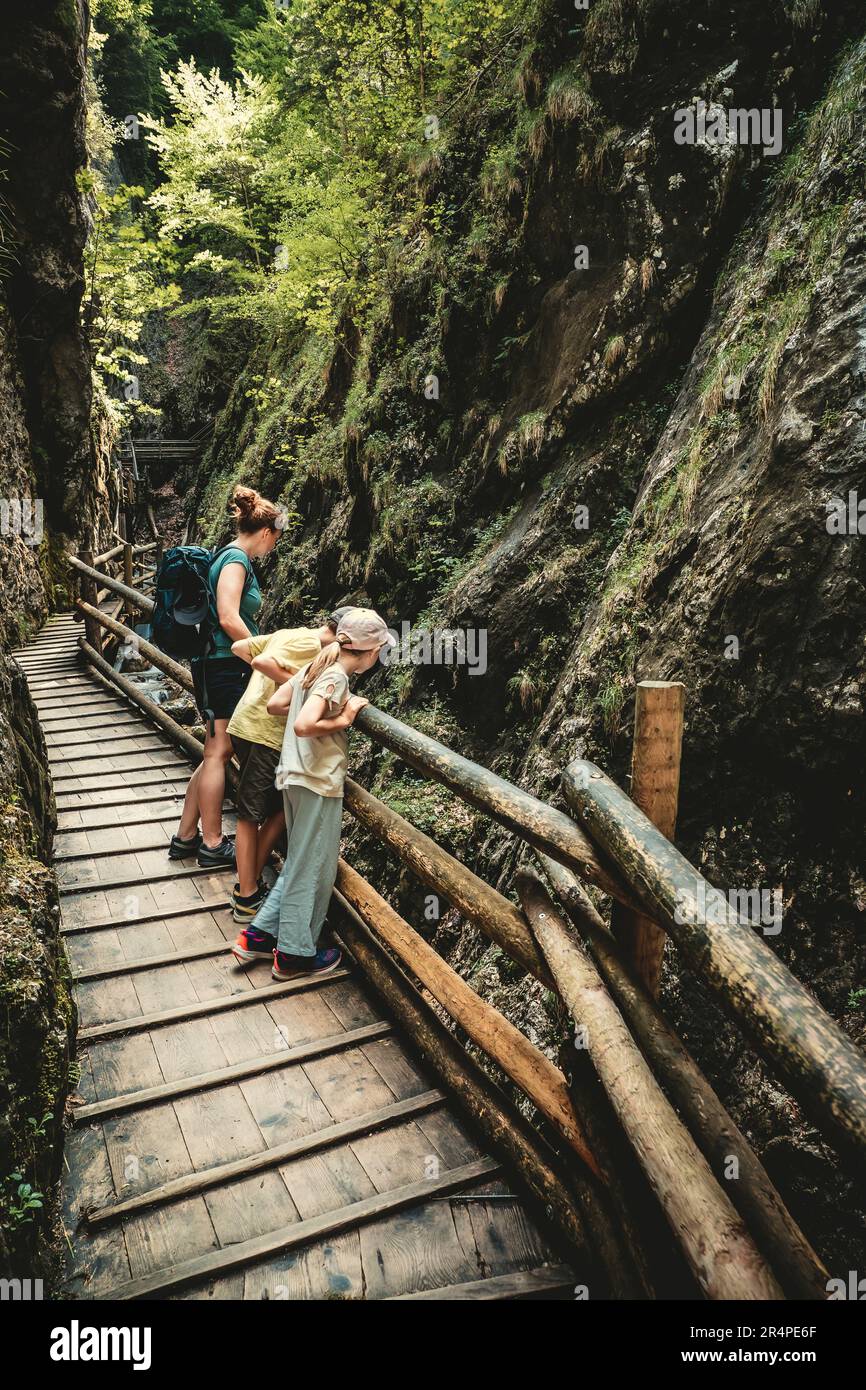 Alpine waterfall in rocks in a mountain gorge hi-res stock photography ...