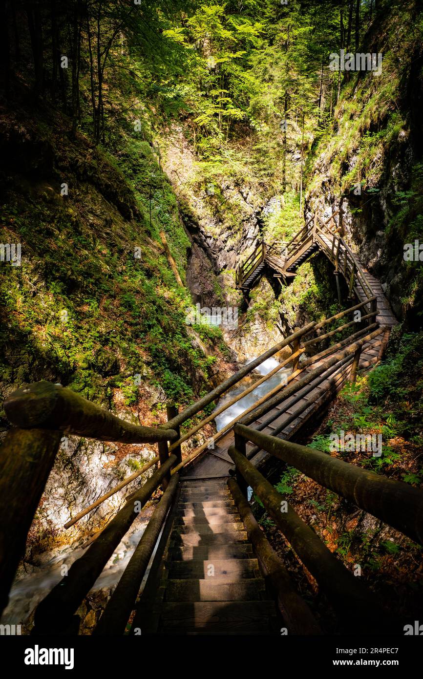 View of wooden walkways through the Dr. Vogelgesang-Klamm in Spital am ...