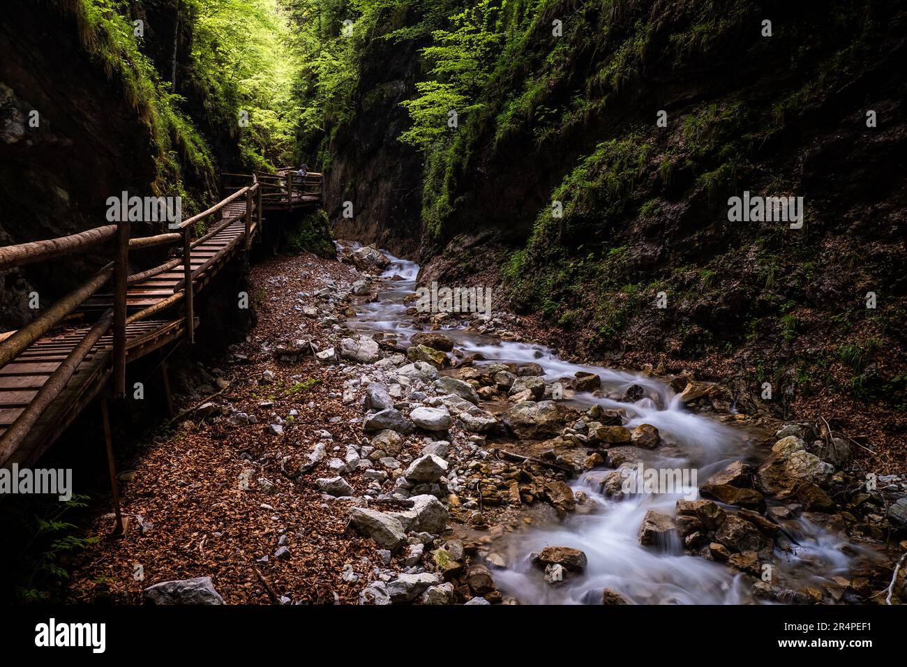View of boy watching white water cascading down the rocks at the rugged ...