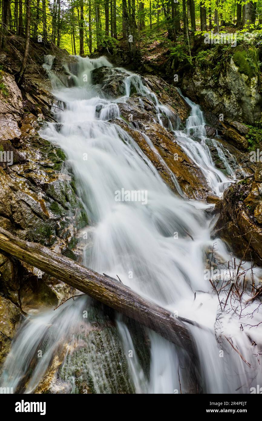 View of white water cascading down the rocks at the rugged wilderness ...