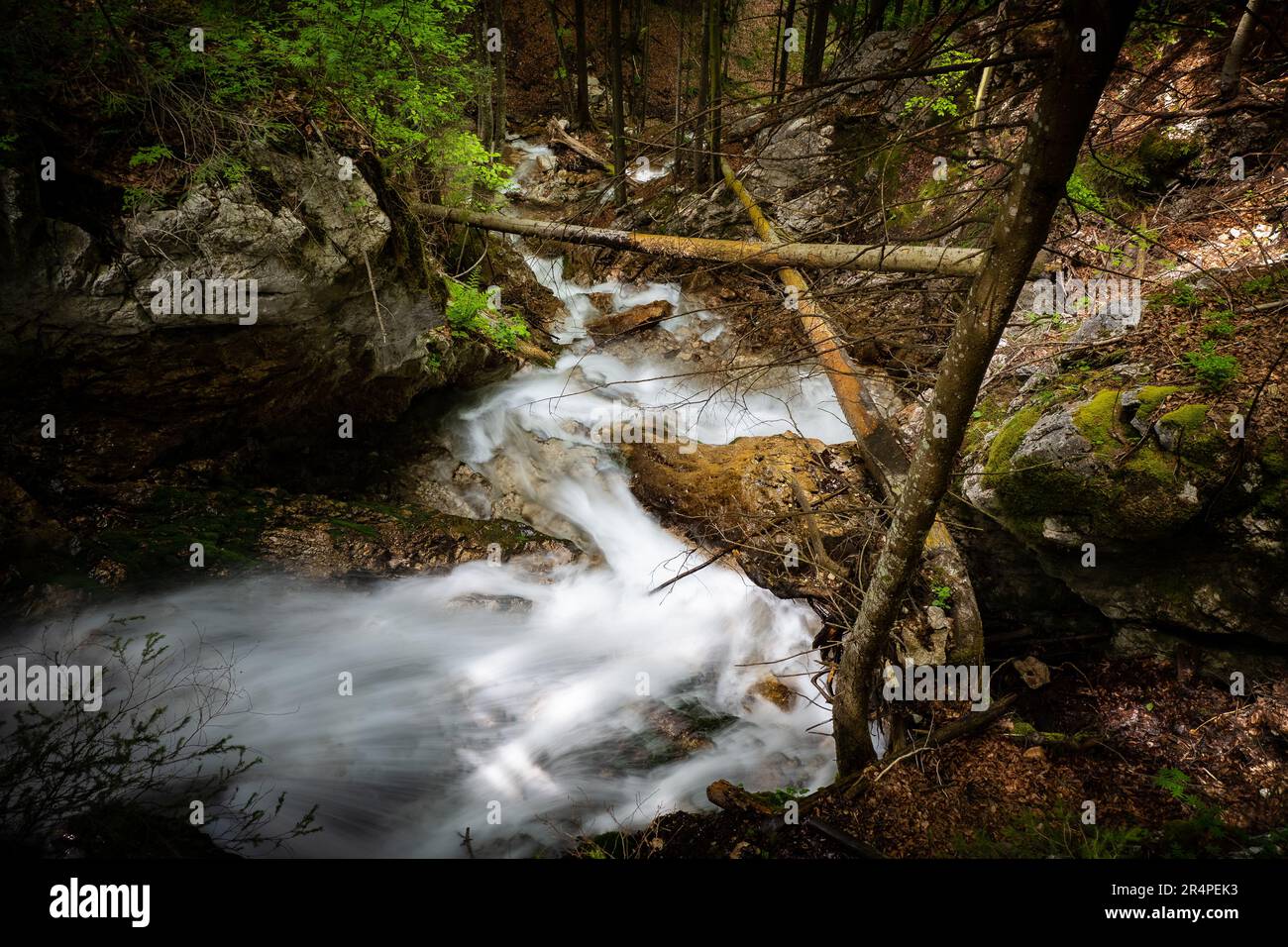 View of white water cascading down the rocks at the rugged wilderness ...